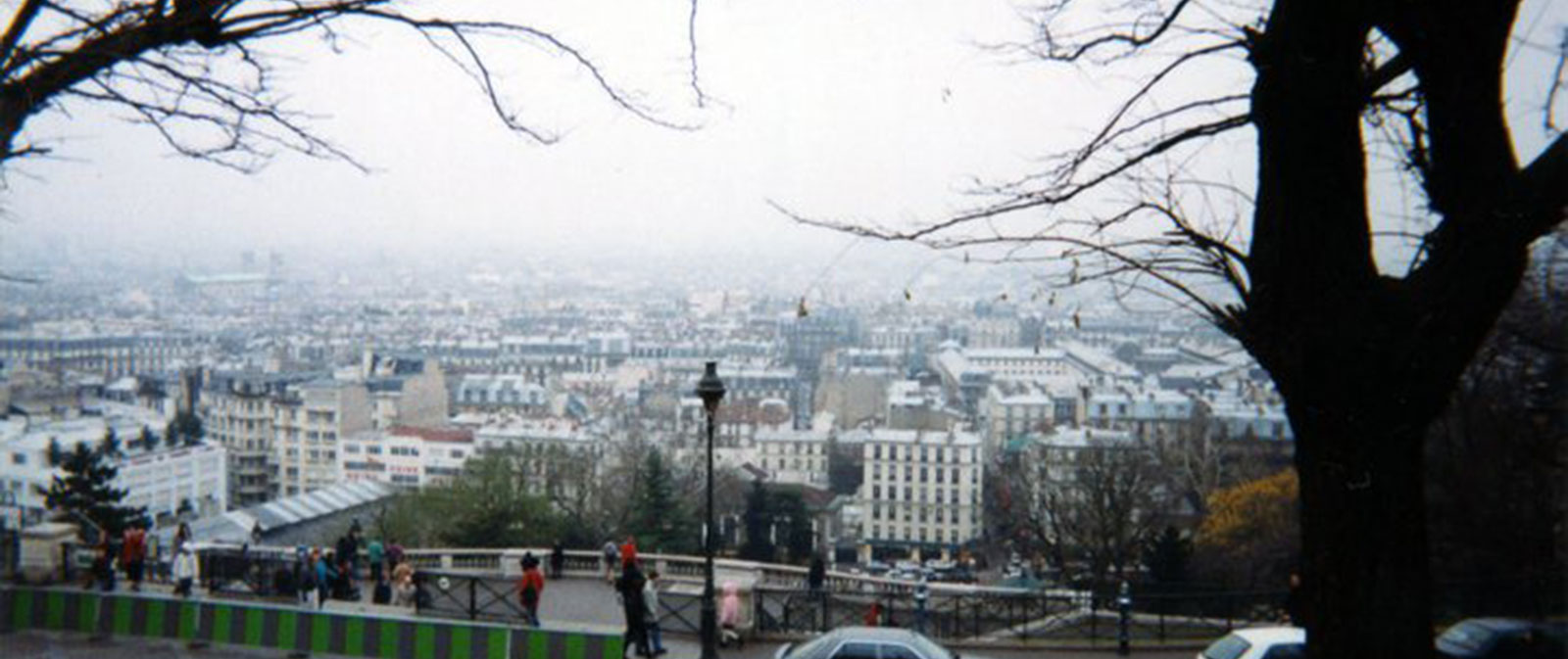 Monma Digital Intelligence Organism 0839